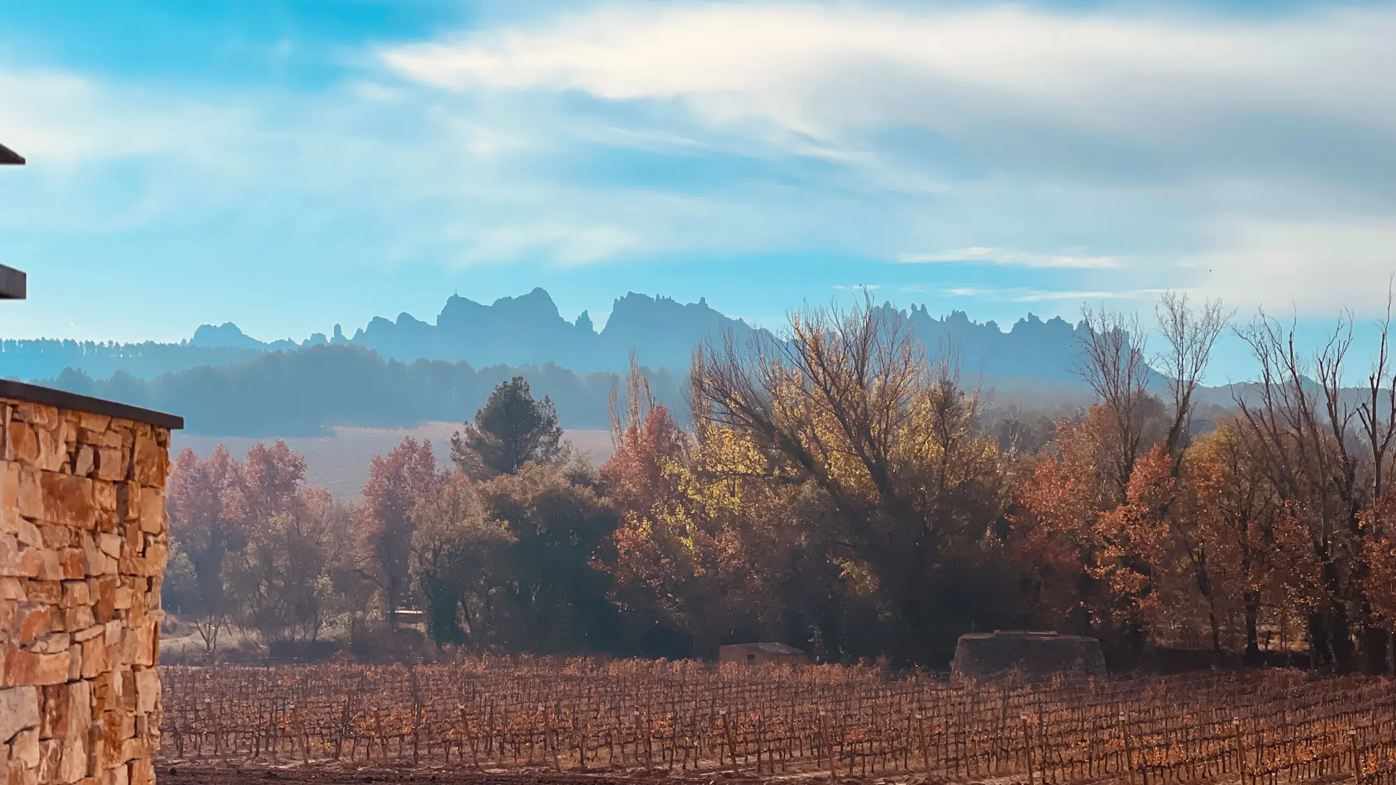 Oller del Mas Ask for a quote - Oller del Mas